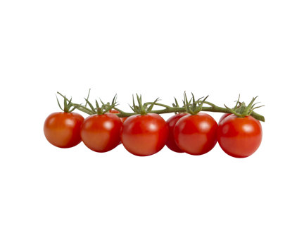 Fruit vegetables